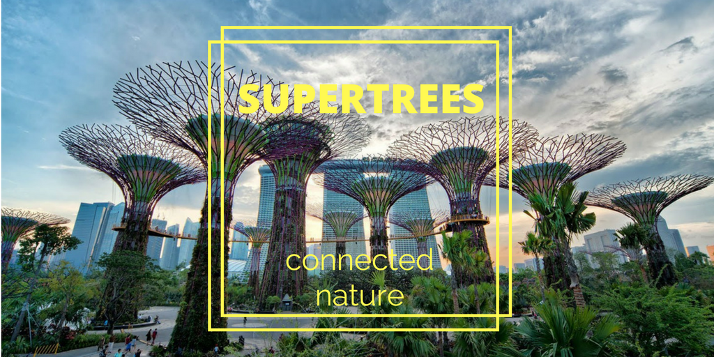 IoT : Supertrees, quand les arbres vous rendent la vi(ll)e plus belle ...